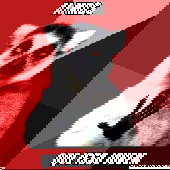 63 Gírias atuais mais usadas na internet e seus significados ...