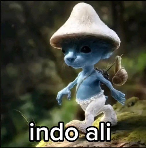 Meme Indo ali Saiba de onde vem e o que significa a brincadeira ...